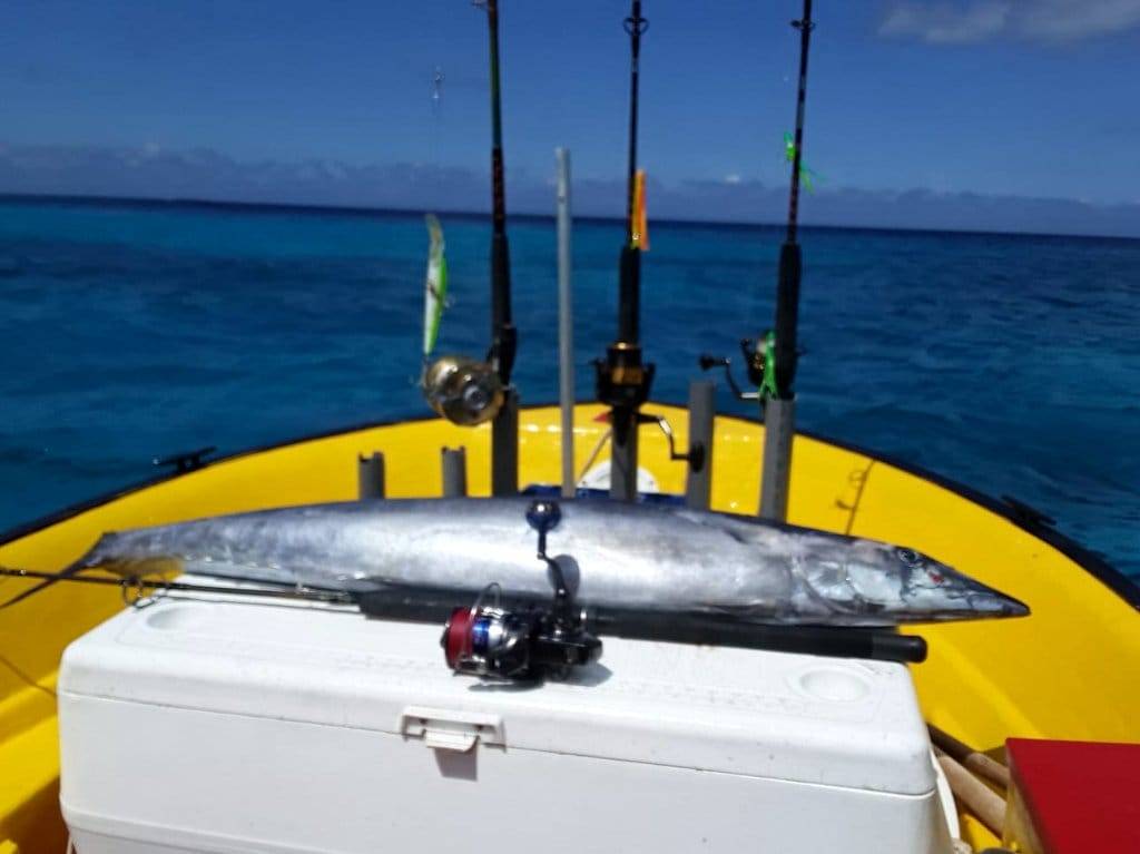 Targets - Big Game fishing Curacao Deckie Dirk