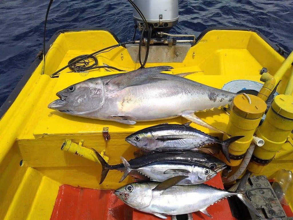 Targets - Big Game fishing Curacao Deckie Dirk